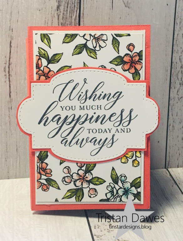 Fancy Fold Card – Tinstar Designs