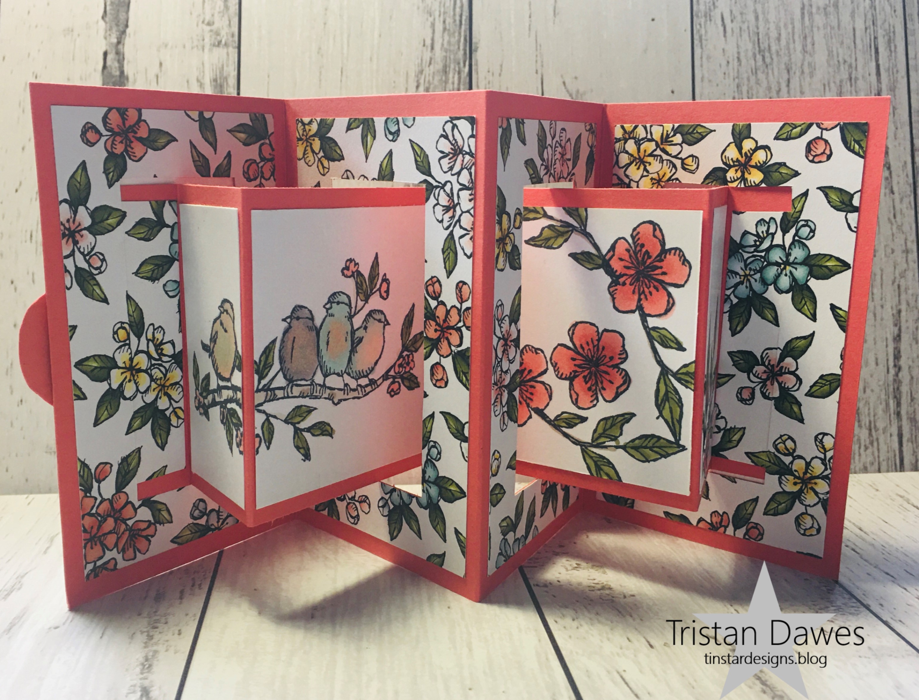 Fancy Fold Card – Tinstar Designs