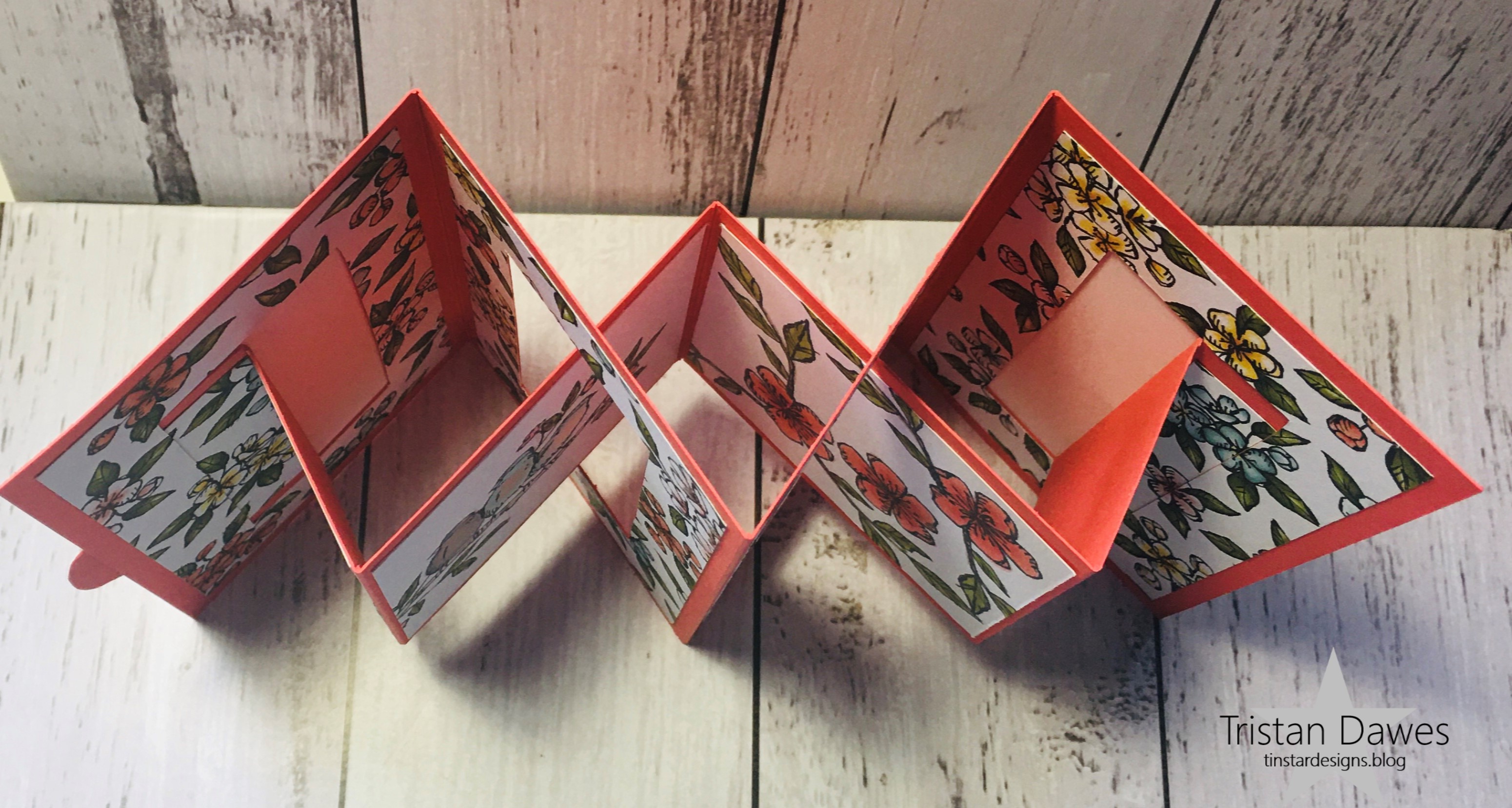 Fancy Fold Card – Tinstar Designs