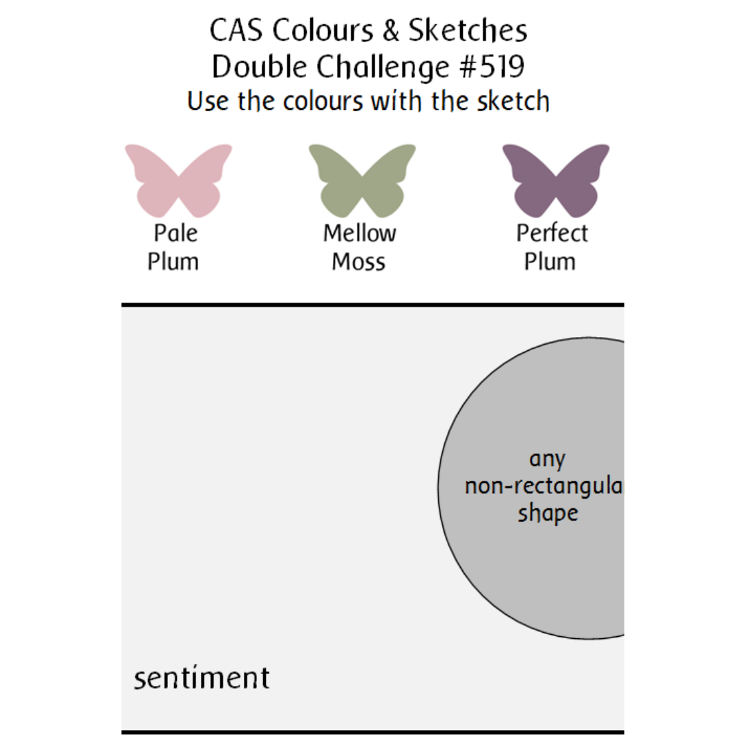 CAS Colours & Sketches #519 – Tinstar Designs